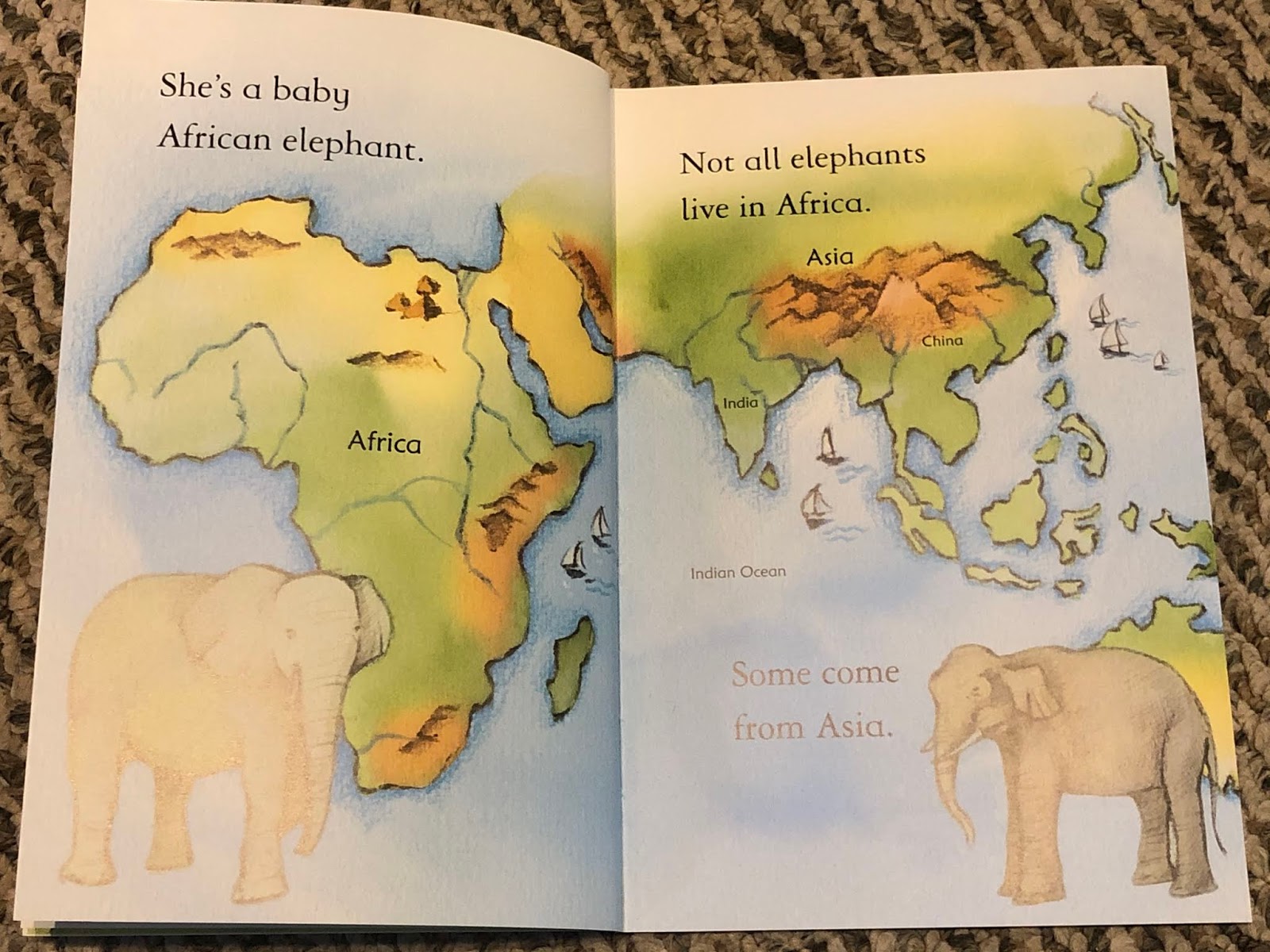 Abundant Family Living: Elephants by Kate Davies (Read with Usborne ...