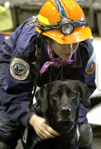 The Doggie House PR: The Dogs from 911