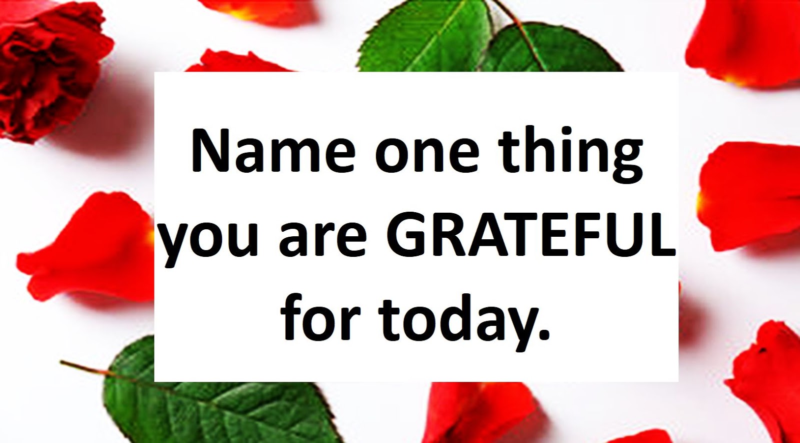Name ONE THING You Are GRATEFUL For Today name-one-thing-you-are-grateful-for-today