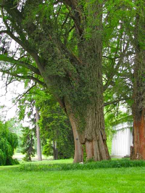 A Grave Interest: Cemeteries Worth the Visit - Spring Grove Cemetery ...