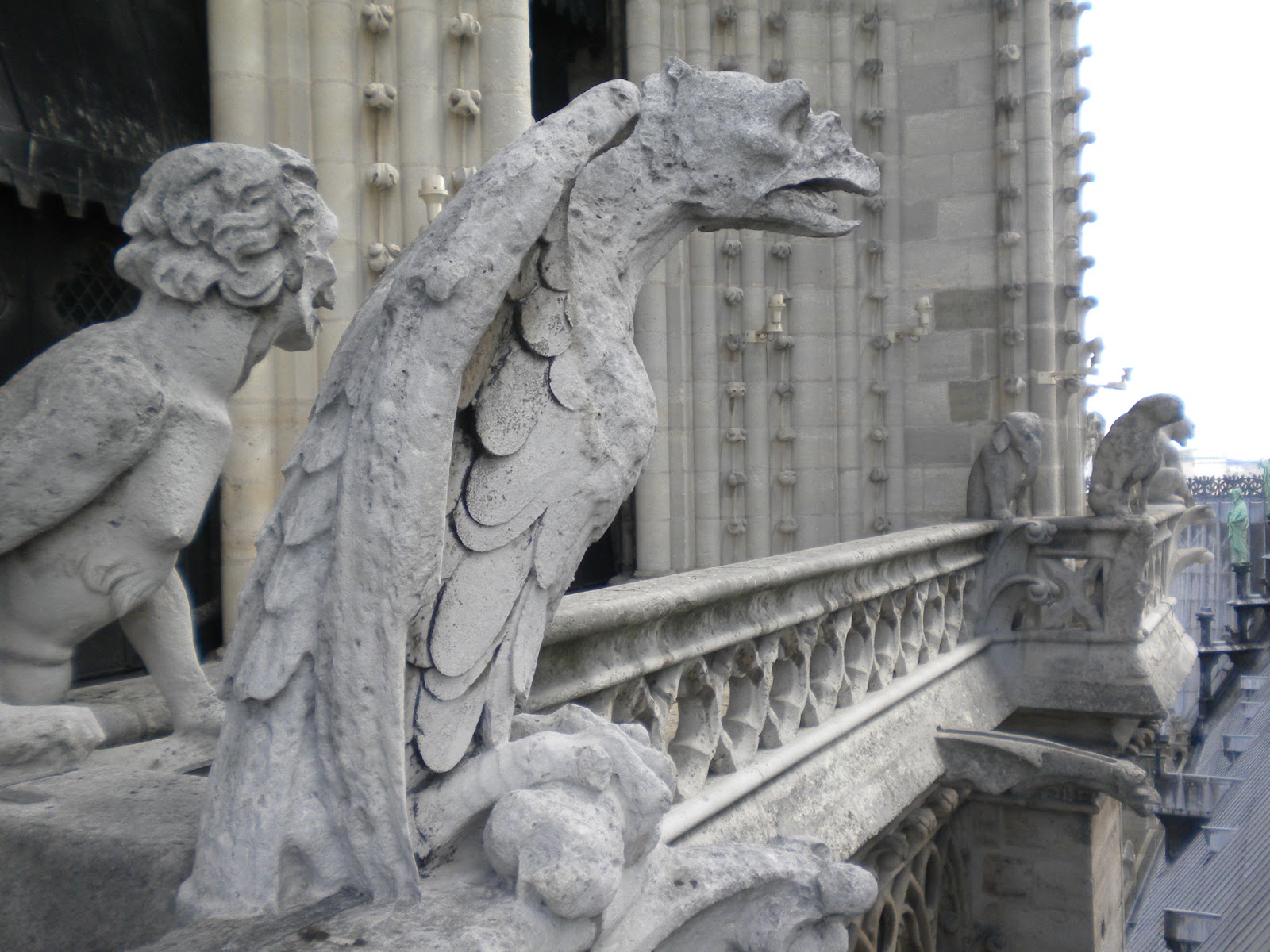 Groteskology: Gargoyles In Paris