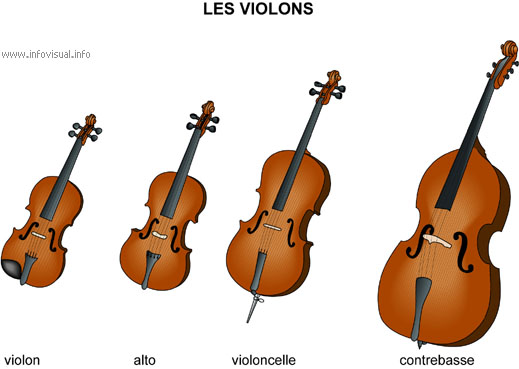 Violon