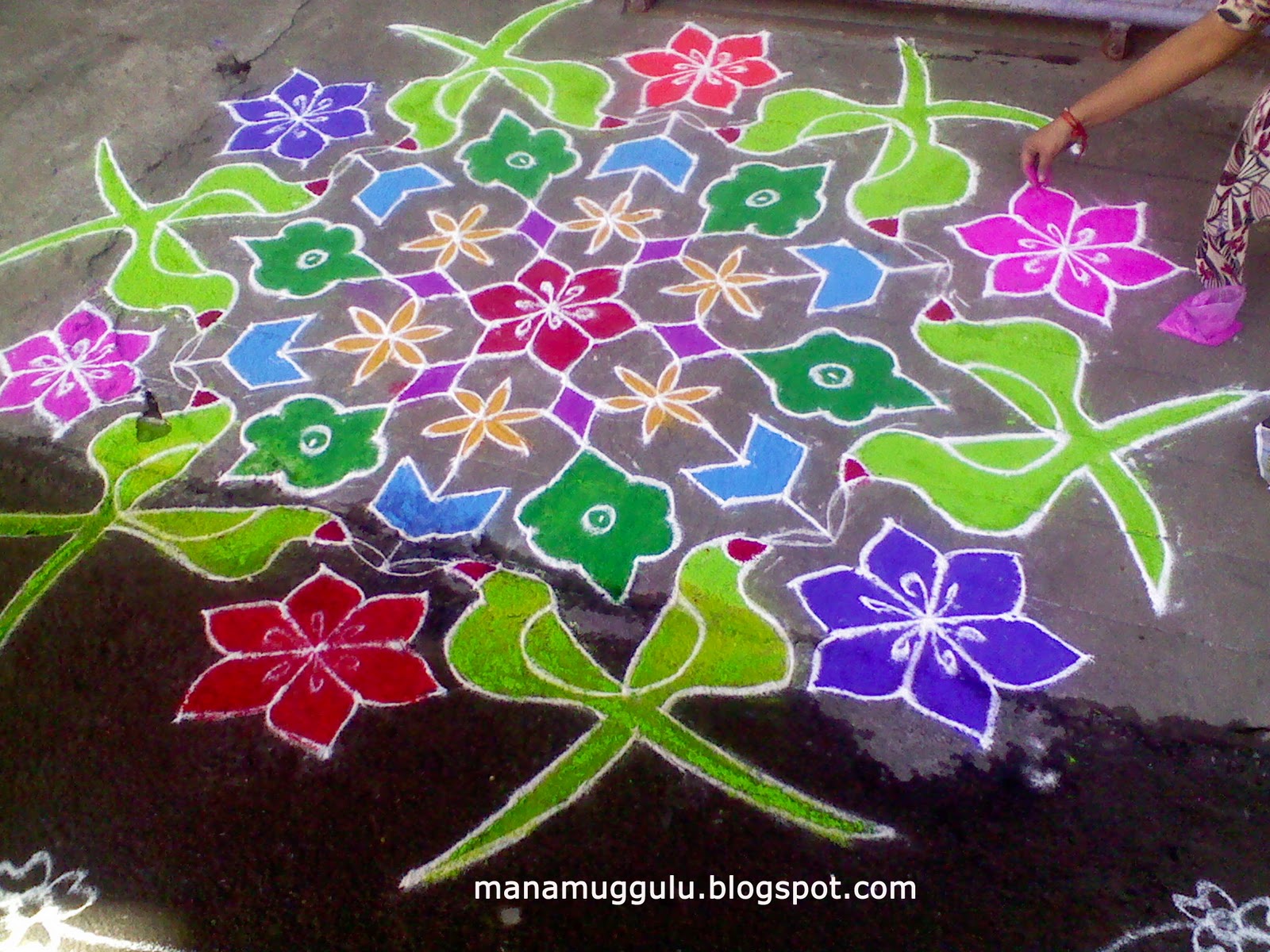 Parrot muggu - MANA MUGGULU