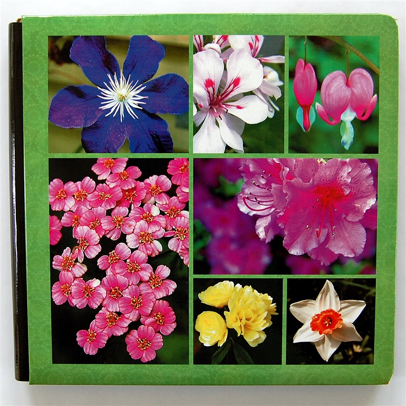 Capadia Designs: Creative Memories Custom Album Covers