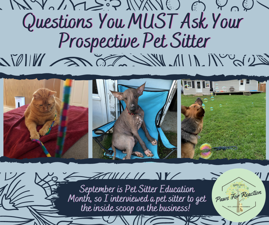 MUST ASK QUESTIONS for your prospective pet sitter for Pet Sitter ...