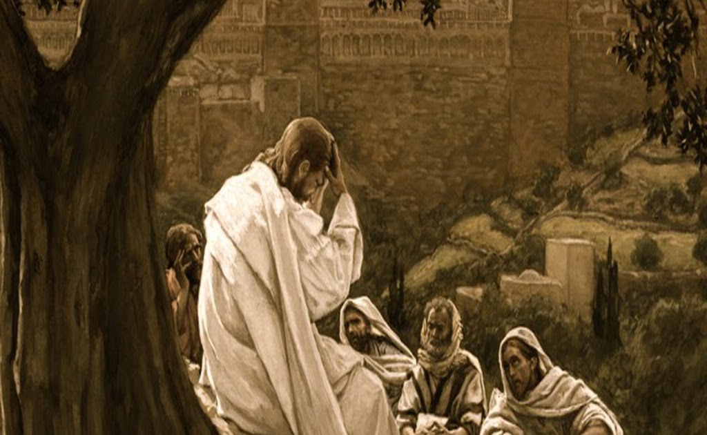 Blog Católico de Javier Olivares, jubilado: :"AY DE TI, COROZAÍN, AY DE ...