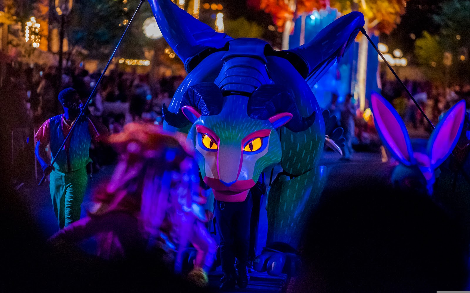 Magic Happens at Night