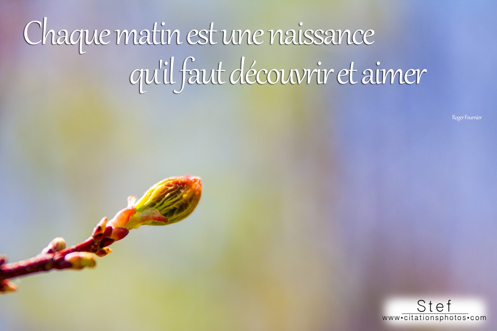 [56] Une Naissance Citation