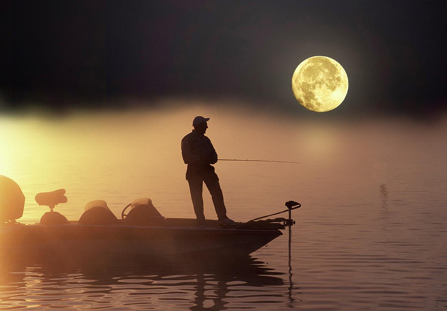 West Neck Creek Ramblings: So, Do the Moon Phases Affect Bass Fishing?