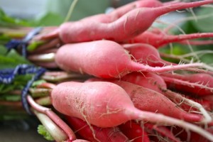 Cooking without a Net: Black Bean, Corn and Radish Salad