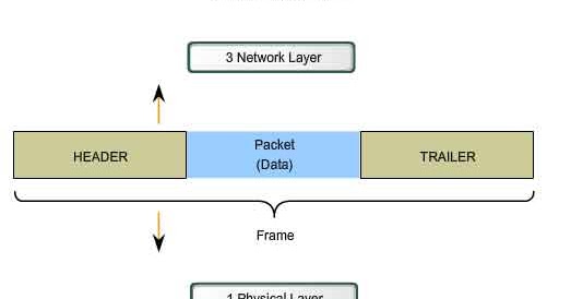 Protocol & OSI model: Data Link layer