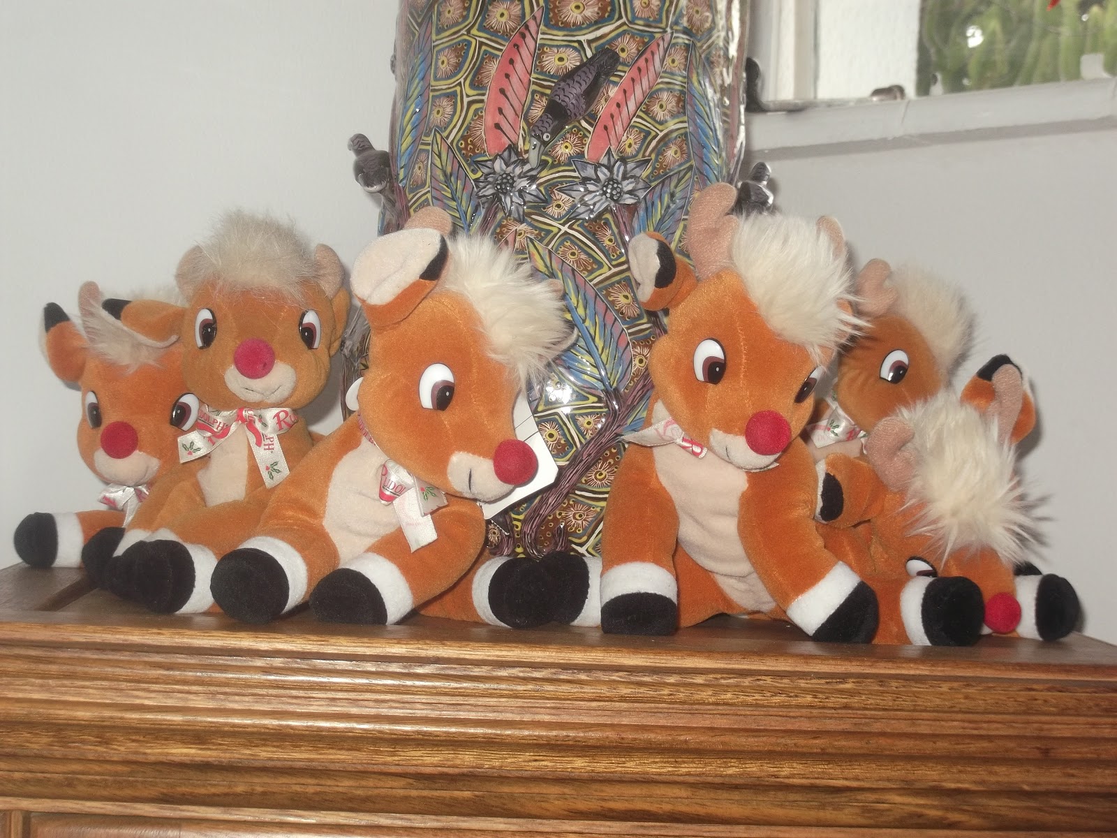 AE Tourism Consulting - Namibia: Namibia at Christmas!