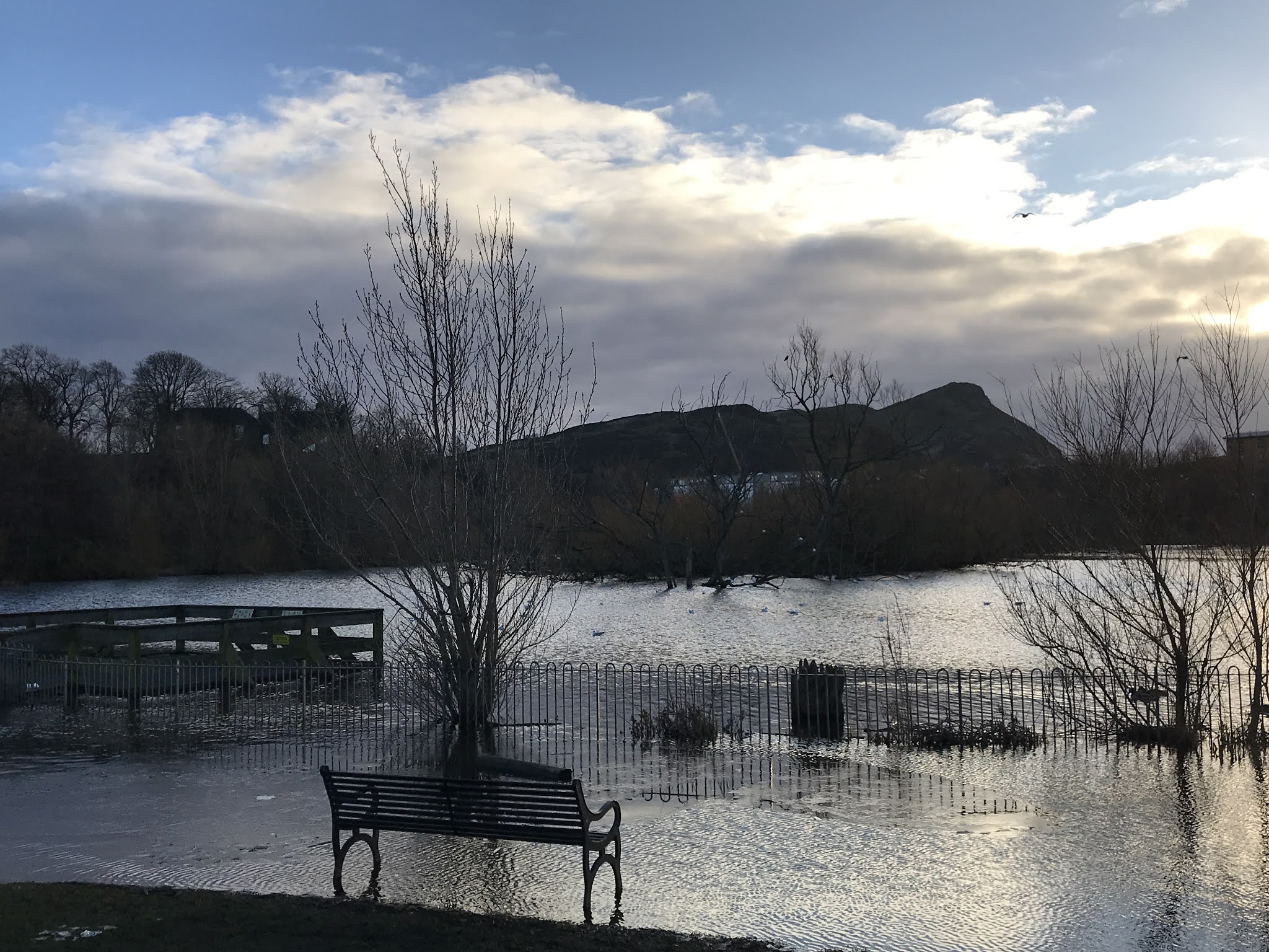 Kevin Nosferatu: Skulferatu #12 – Lochend Park, Edinburgh