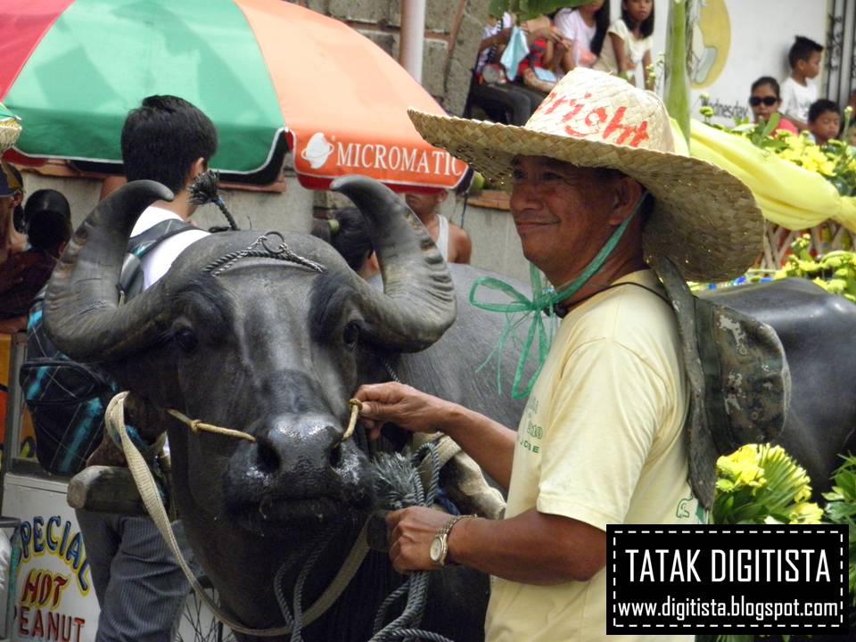 foydi finds: Stored Treasure: Wowed by the Carabaos! -- The Pulilan ...