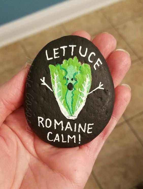 30 Cool DIY Ideas Of Painted Rocks With Inspirational Words and Picture ...
