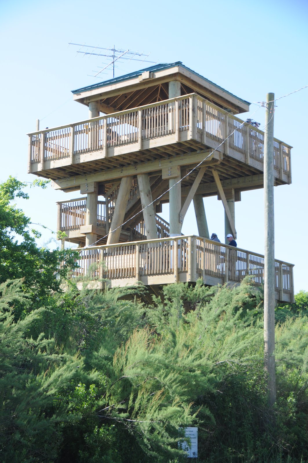 Readerbuzz: Gulf Coast Bird Observatory: Spring Fling