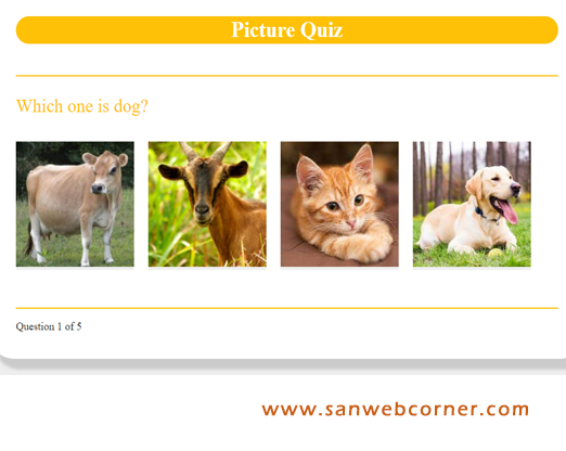 Picture Quiz Using Javascript