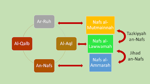 4 DOMAIN SPIRITUAL MANUSIA