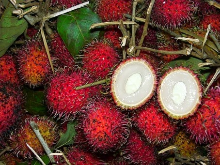 Beberapa Jenis Buah Rambutan di Indonesia