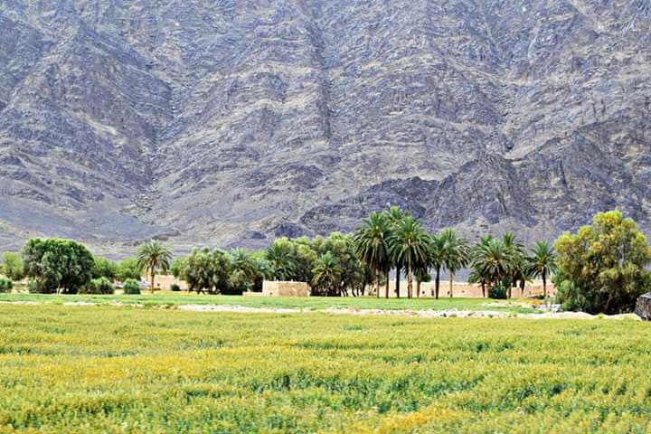 New Balochistan: Balochistan Wallpaper