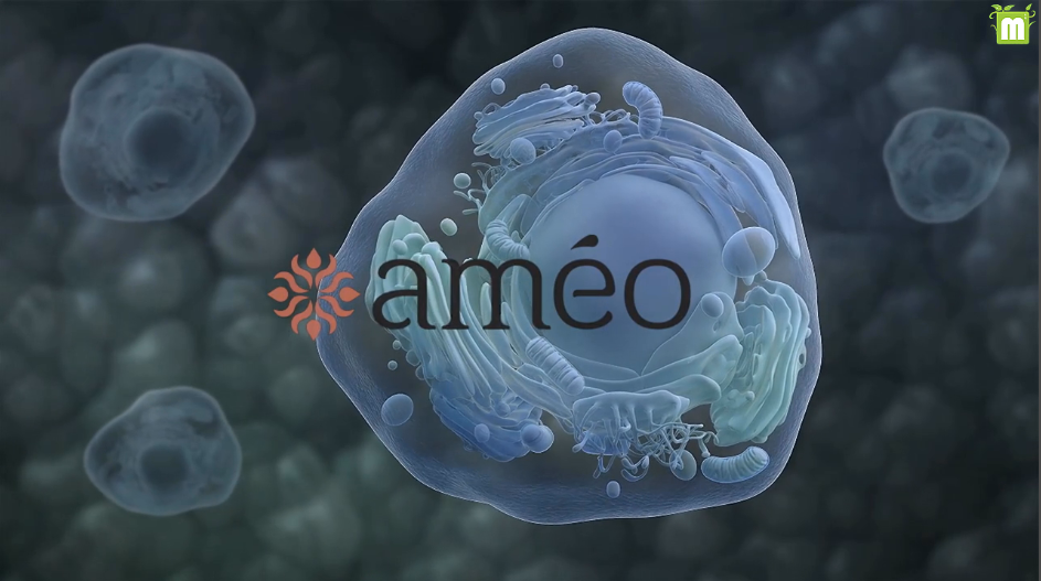 Clinical Essential Oils: Ameo Clinical Grade Essential Oils NEXT Generation