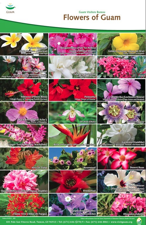 Colonialism as told through flowers