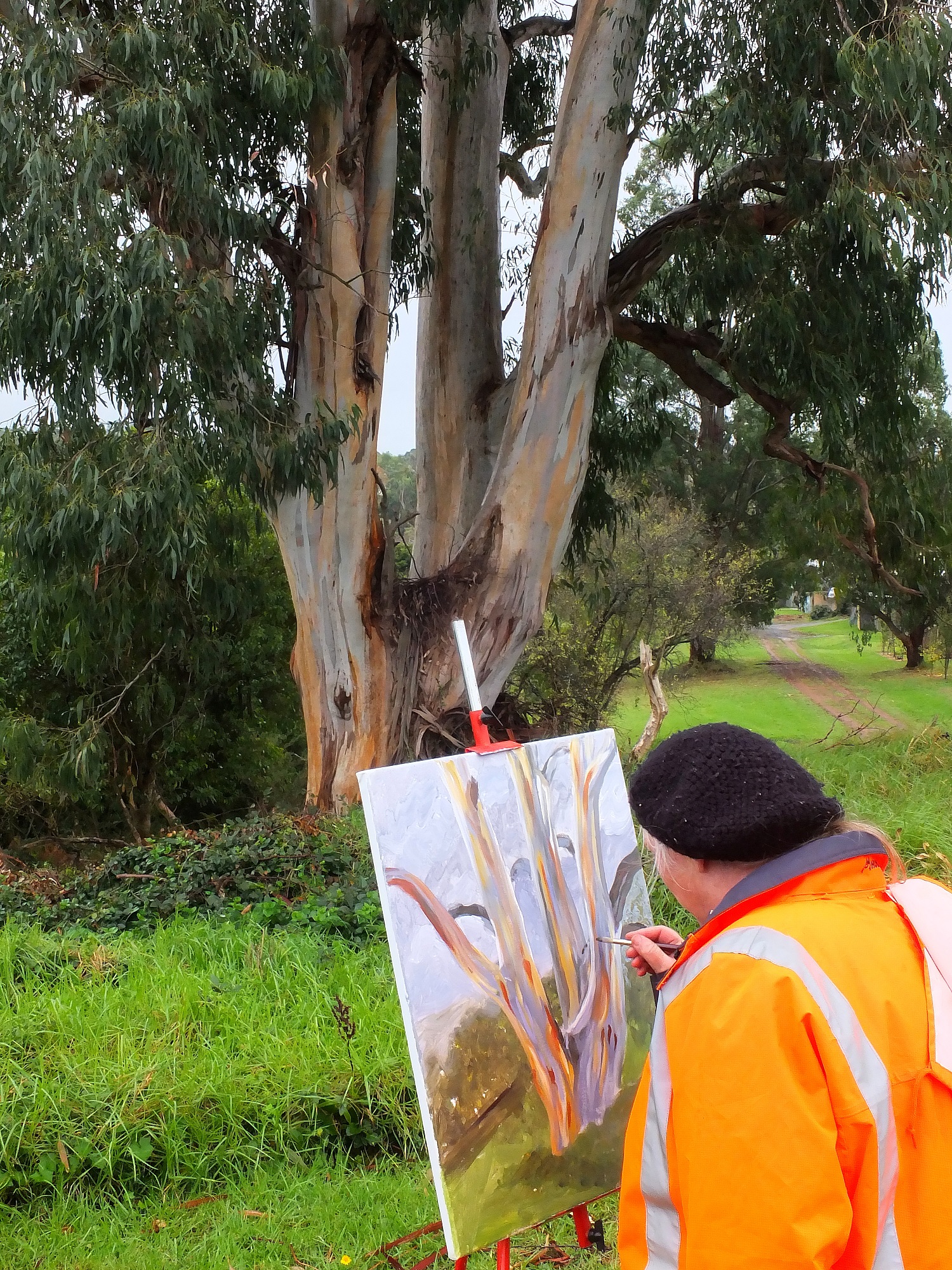Friends of Drouin's Trees: The Railway Giant