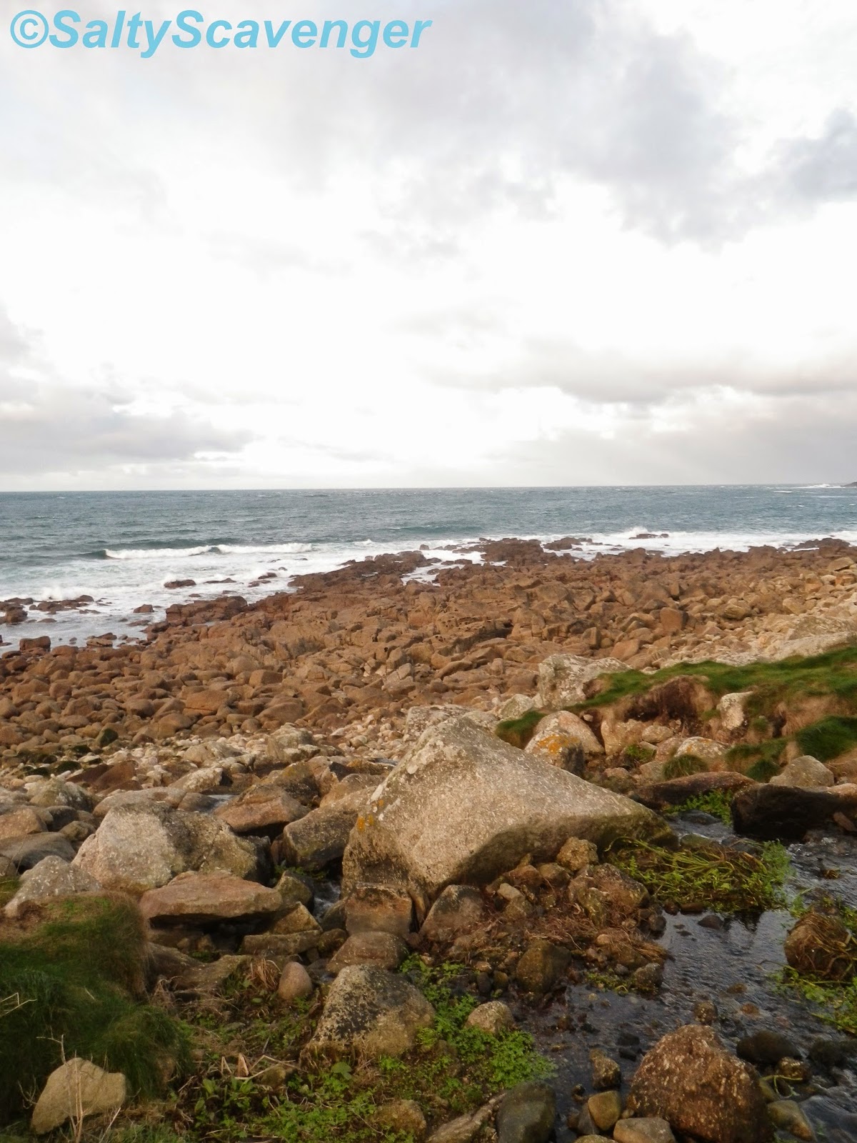 Rock Pooling: Rockpooling Destination: Revisit South- West Penwith ...