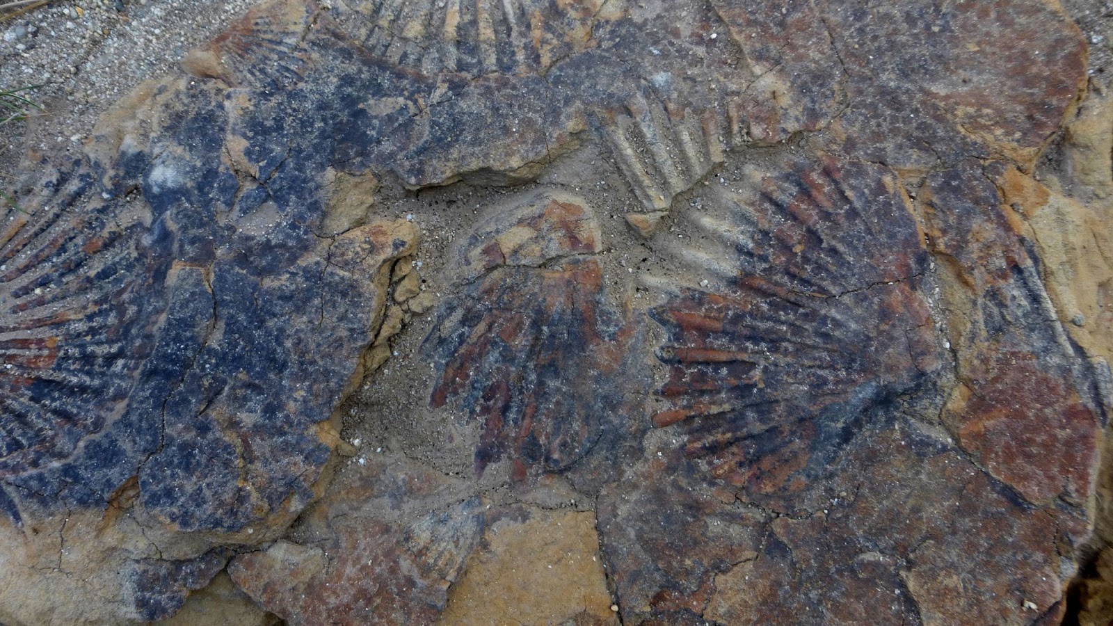 The Malibu Post: October 2015