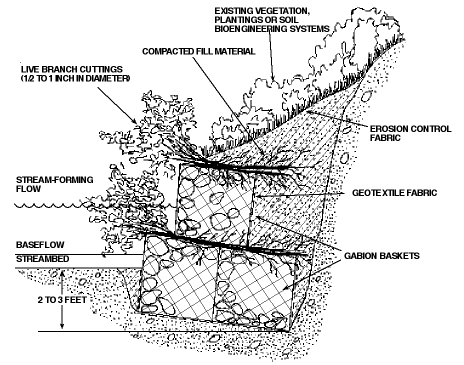 Temperate Climate Permaculture: Gabions for Creek Restoration