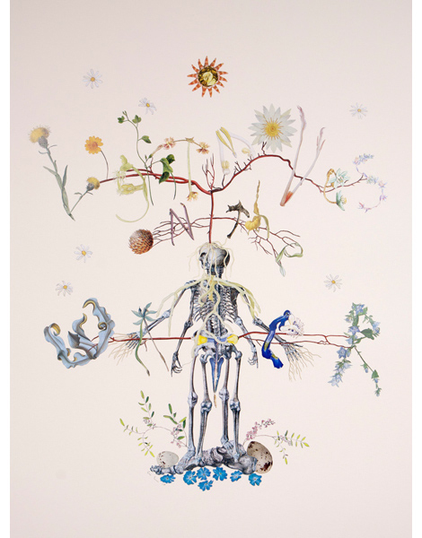 a theory of beauty: art _ alexis mackenzie collages