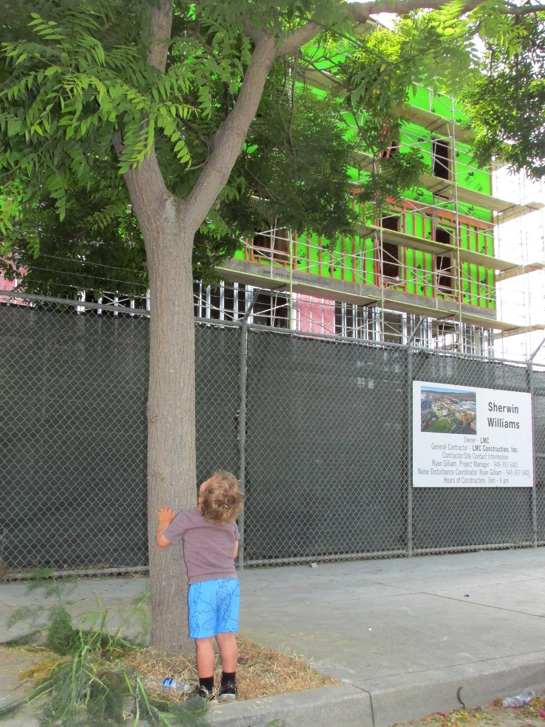 The Emeryville Tattler: Come Say Goodbye to the Trees