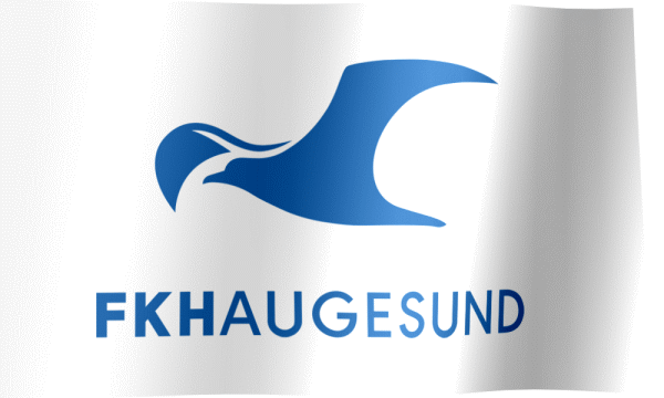 FK Haugesund Fan Flag (GIF) - All Waving Flags