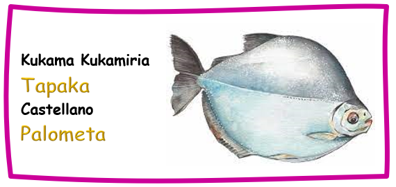 Conocemos la cultura kukama kukamiria