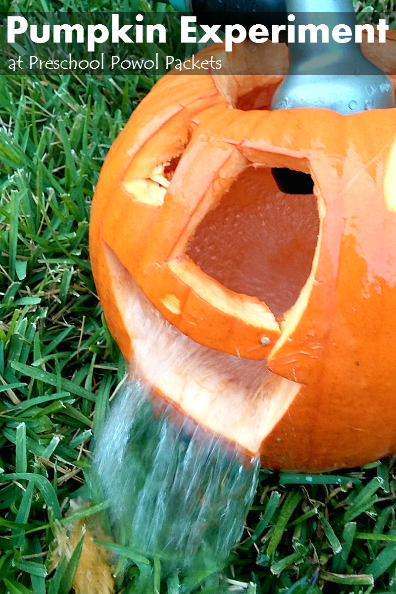 Preschool Pumpkin Water Science Experiment/STEM | Preschool Powol Packets
