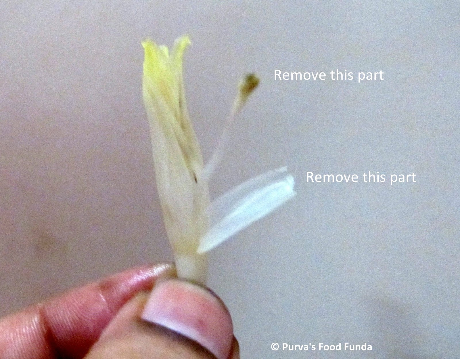 Food Funda: Kelfulachi Bhaji ~ Maharashtrian Style Banana Flower ...