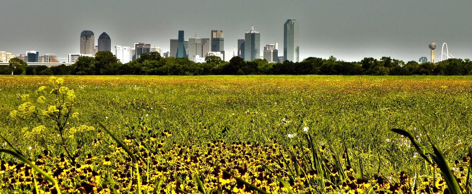 Dallas Trinity Trails: Dallas Trinity River Levee Trail and new Trinity ... Dallas Trinity Trails: Dallas Trinity River Levee Trail and new Trinity ...