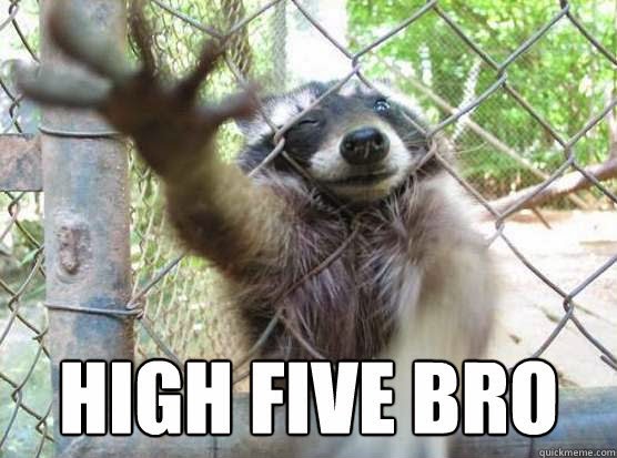 Internet High Five Meme