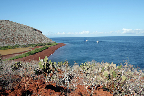 Rabida Island - Galápagos Eco Friendly: The Blog