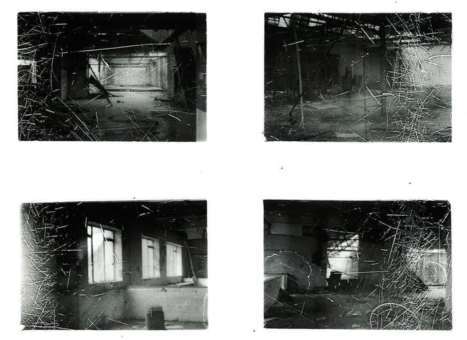 Lauren Carr: Dark Room Experiments.