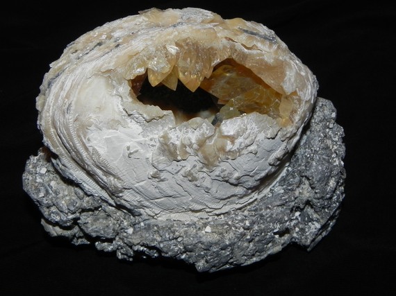 Rock Hard Fossils: Calcite Replacement of Fossils