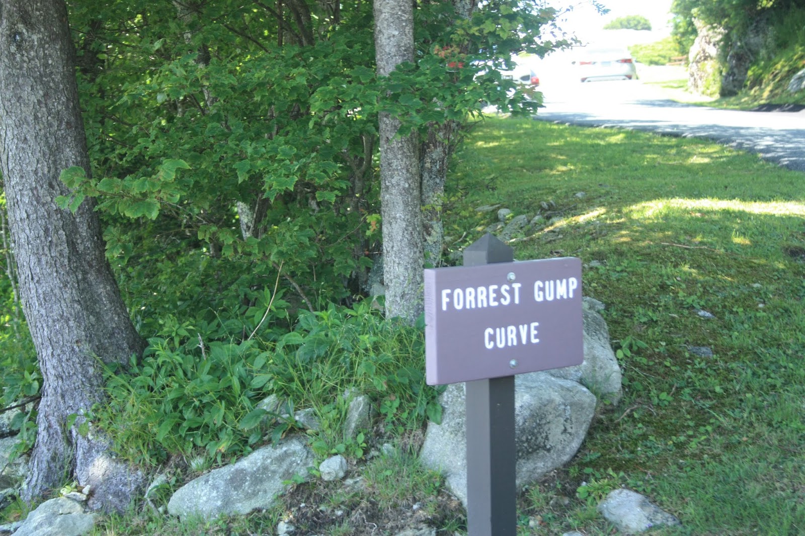 Run Forrest Run Sign