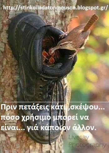 ΣΤΗΝ ΚΟΙΛΑΔΑ ΤΩΝ ΜΟΥΣΩΝ: ΦΙΛΟΖΩΪΚΑ