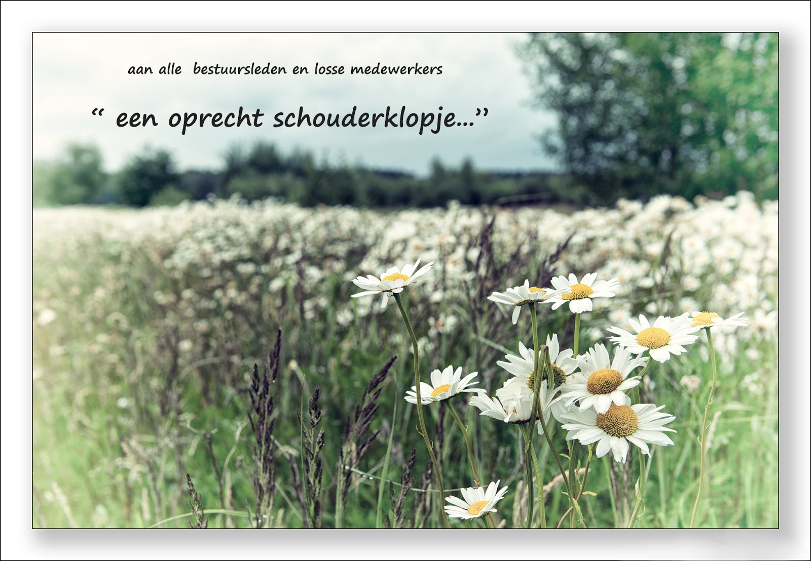 KWB Maasmechelen: 1 maart Nationale Complimentendag...