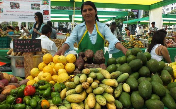 7 Semillas Peruanas: Las atracciones de una feria pensada para rendirle ...