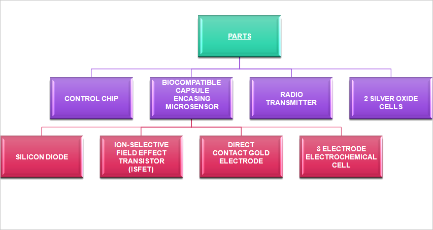 Bhargava: Micro electronic pill seminar report