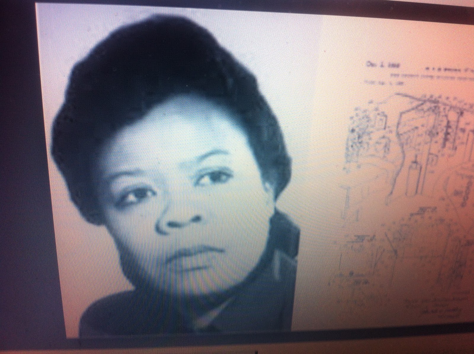 THE BLACK SOCIAL HISTORY:: BLACK SOCIAL HISTORY : AFRICAN AMERICAN ...