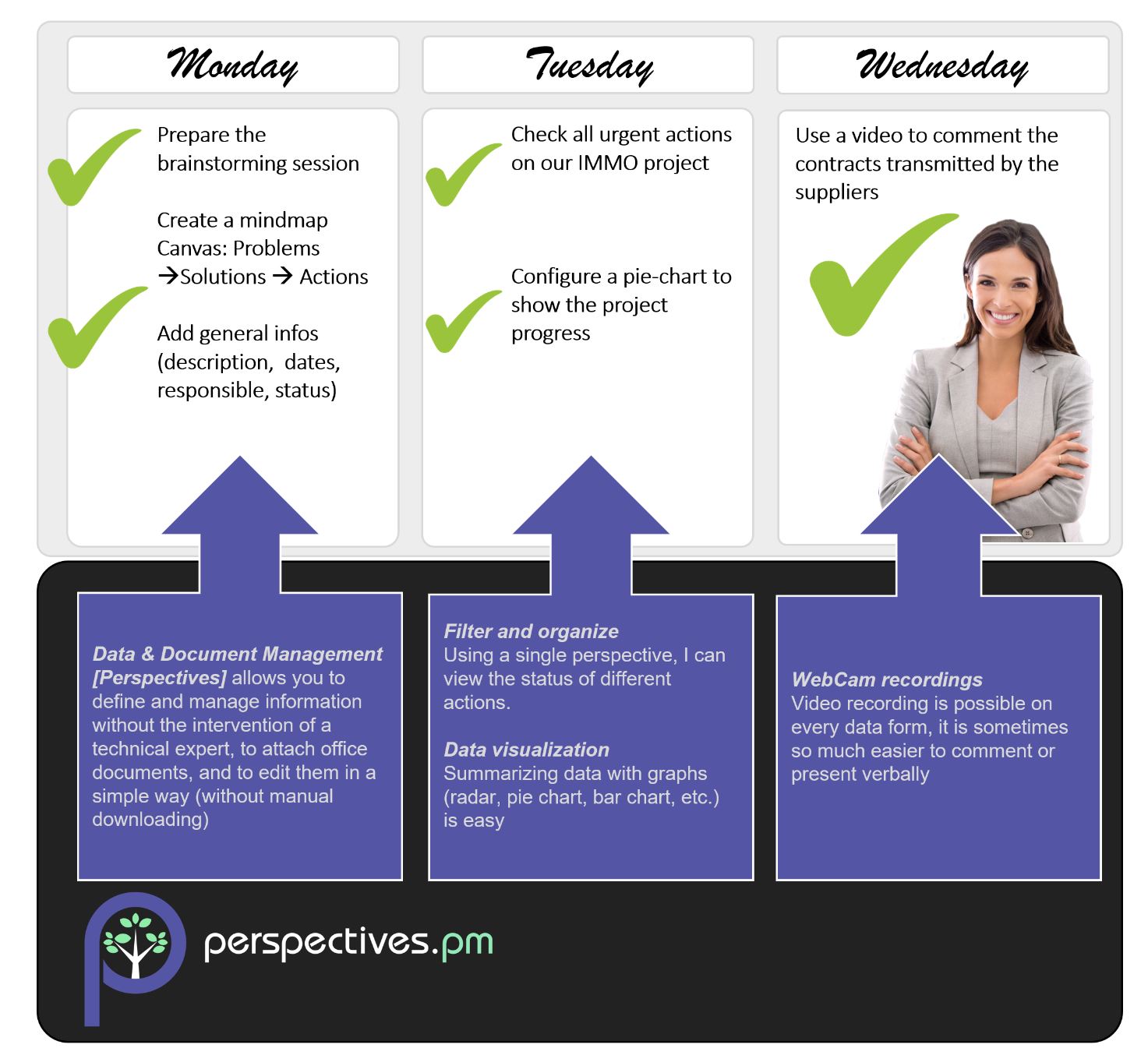 Visual Project Management with [Perspectives]