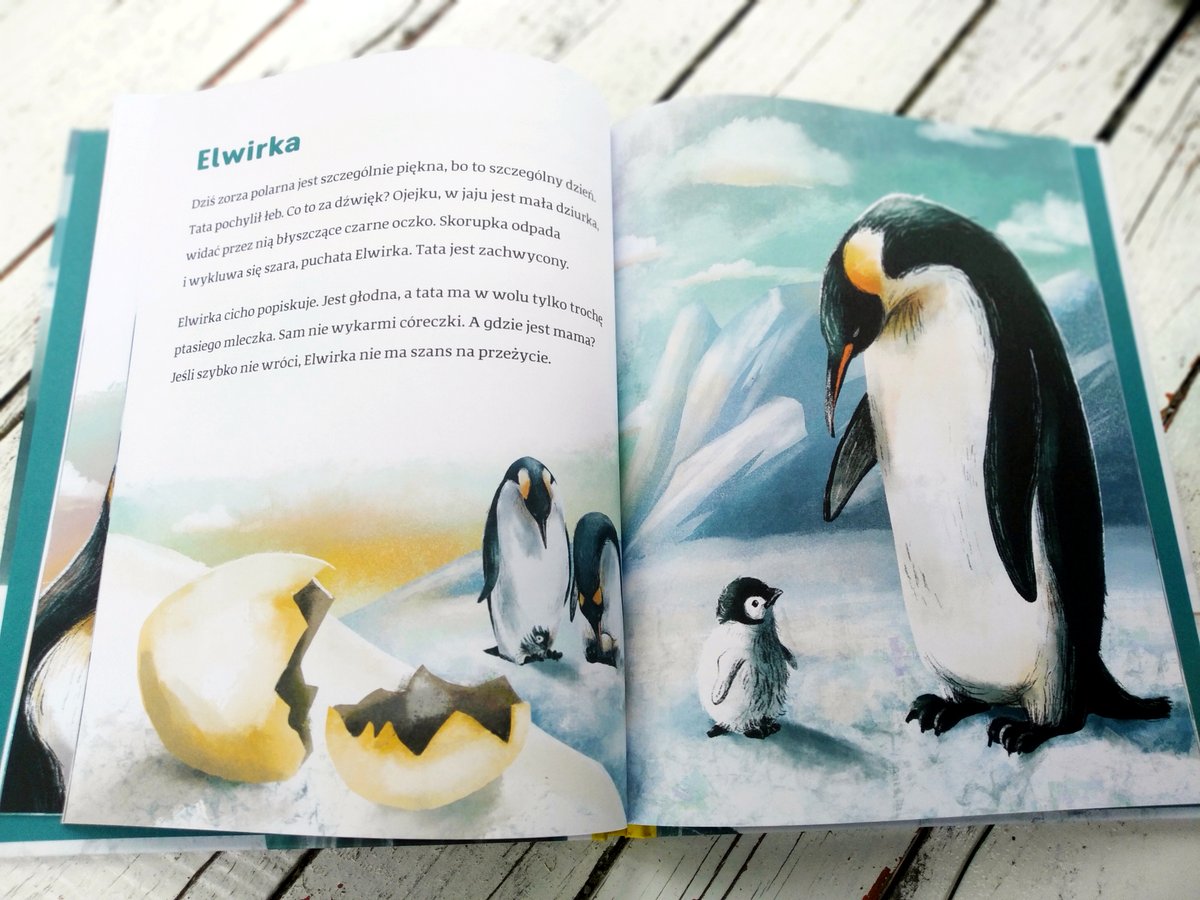 J.a.k.e-mama Ewki: Porwanie Jeża Eliasza, Elwirka na śnieżnej pustyni.