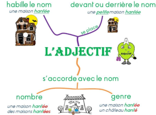 Ecole du Tambour: Grammaire G10 - L'adjectif qualificatif